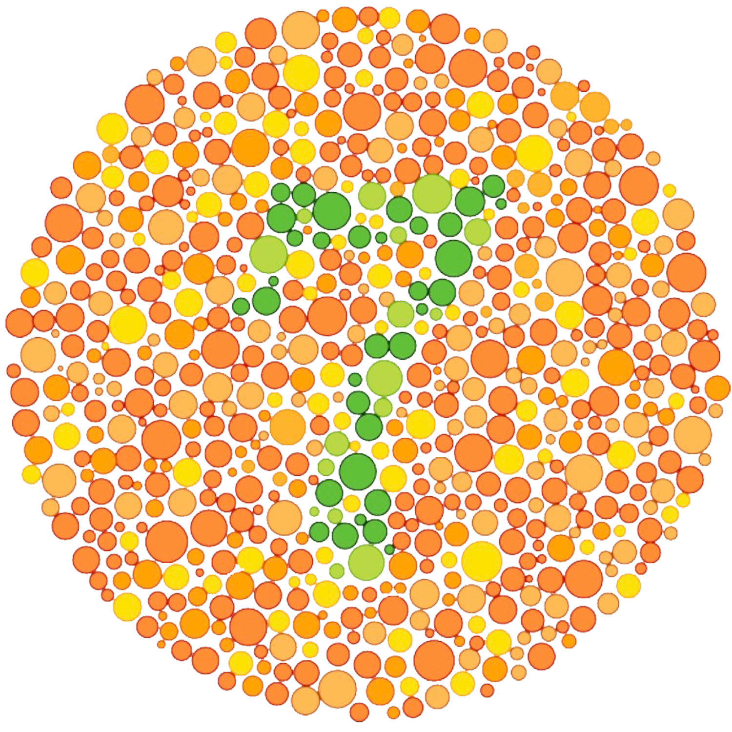 Ishihara Color Vision Test Photos Cantik